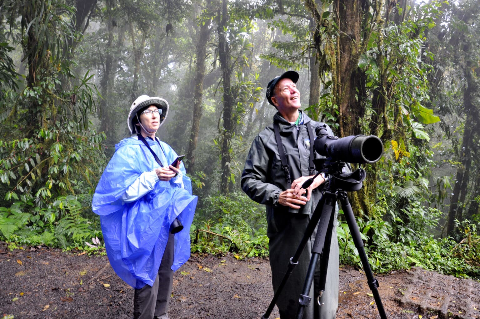 Los 3 mejores sitios para recorrer el bosque nuboso de Monteverde ...