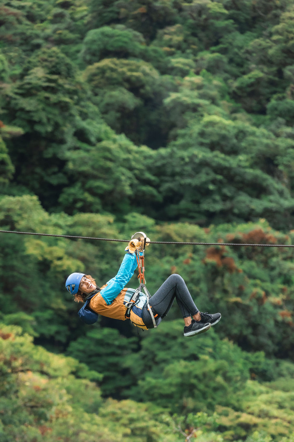 Monteverde Tours: Costa Rica's Best Cloud Forest Adventures | MonteTours