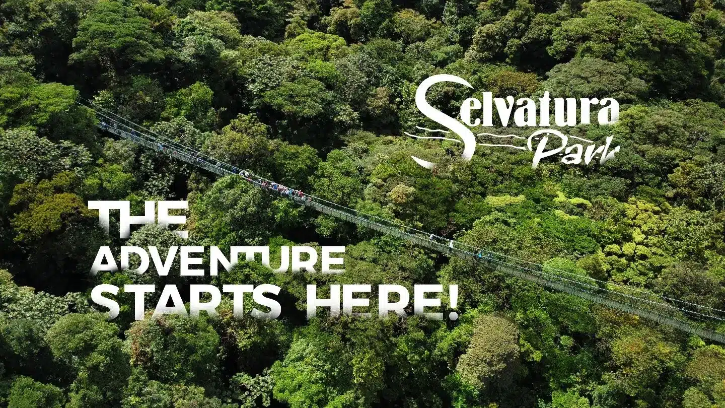 Selvatura Park: Monteverde's Most Scenic Adventure Park | MonteTours