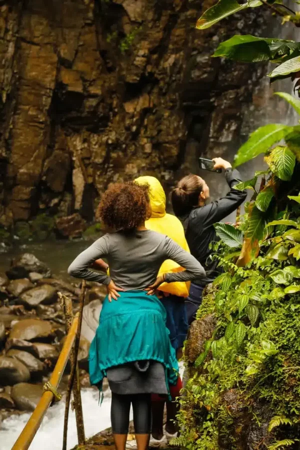 Monteverde Waterfall Tours: Dive into Costa Rica's Natural Wonder ...
