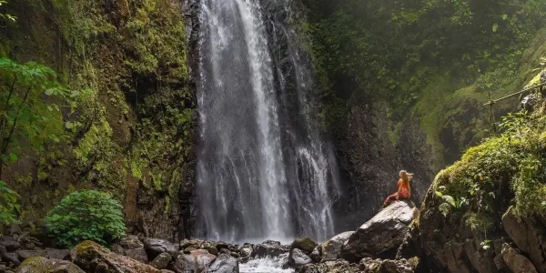 Monteverde Waterfall Tours: Dive into Costa Rica's Natural Wonder ...