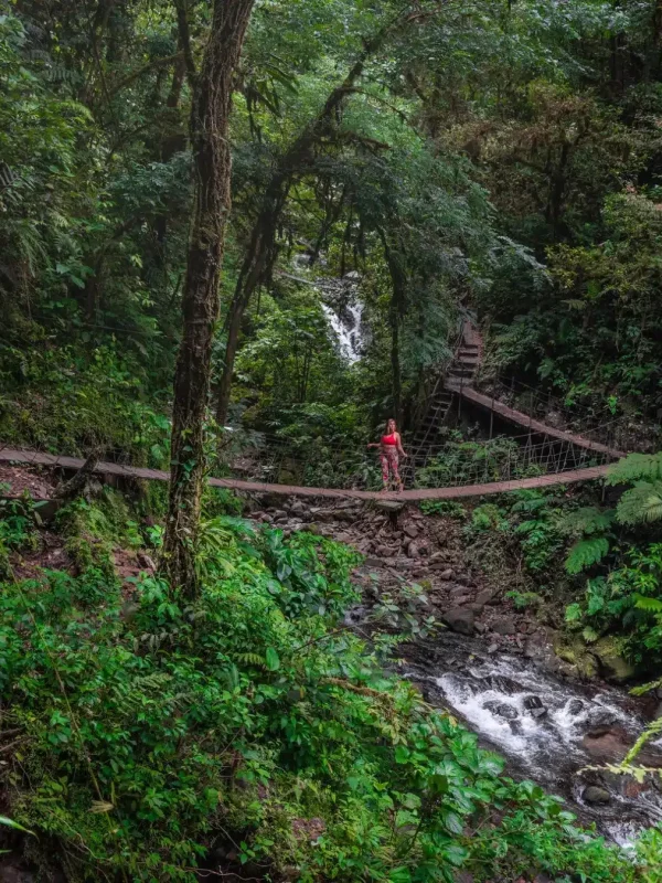 Monteverde Waterfall Tours: Dive into Costa Rica's Natural Wonder ...