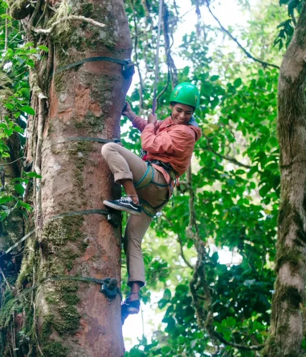Treetopia Monteverde: Fantastic Nature Park in The Clouds | MonteTours